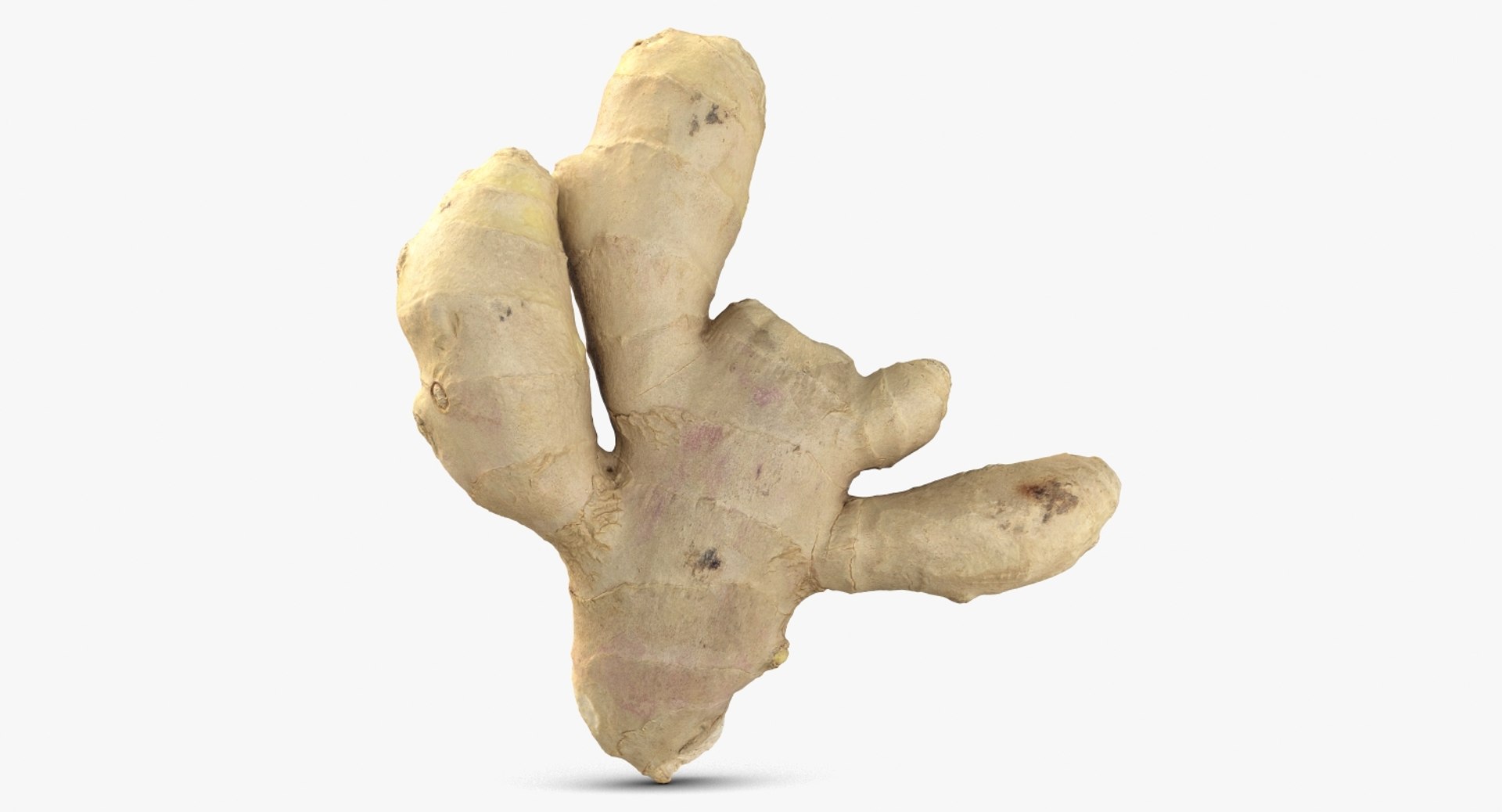 3D Ginger Subdivision Displacement - TurboSquid 1169782