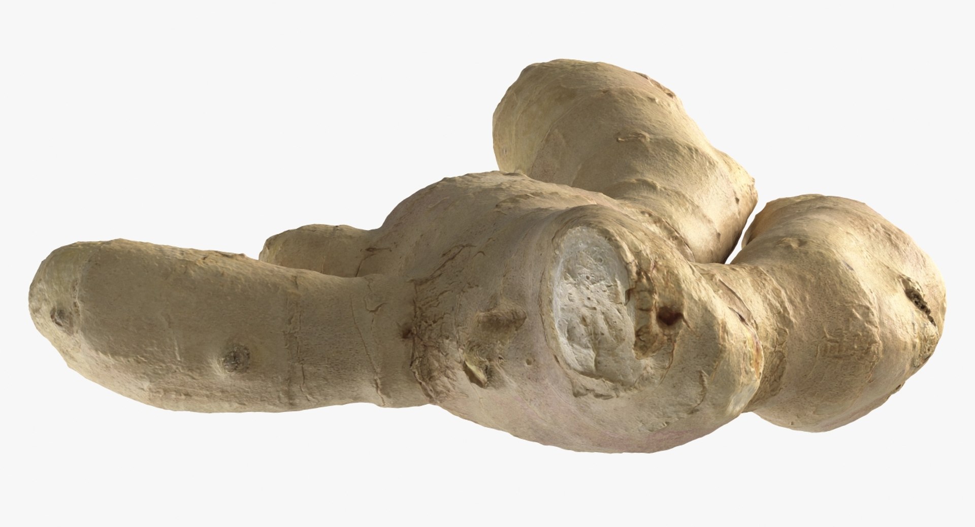 3D Ginger Subdivision Displacement - TurboSquid 1169782