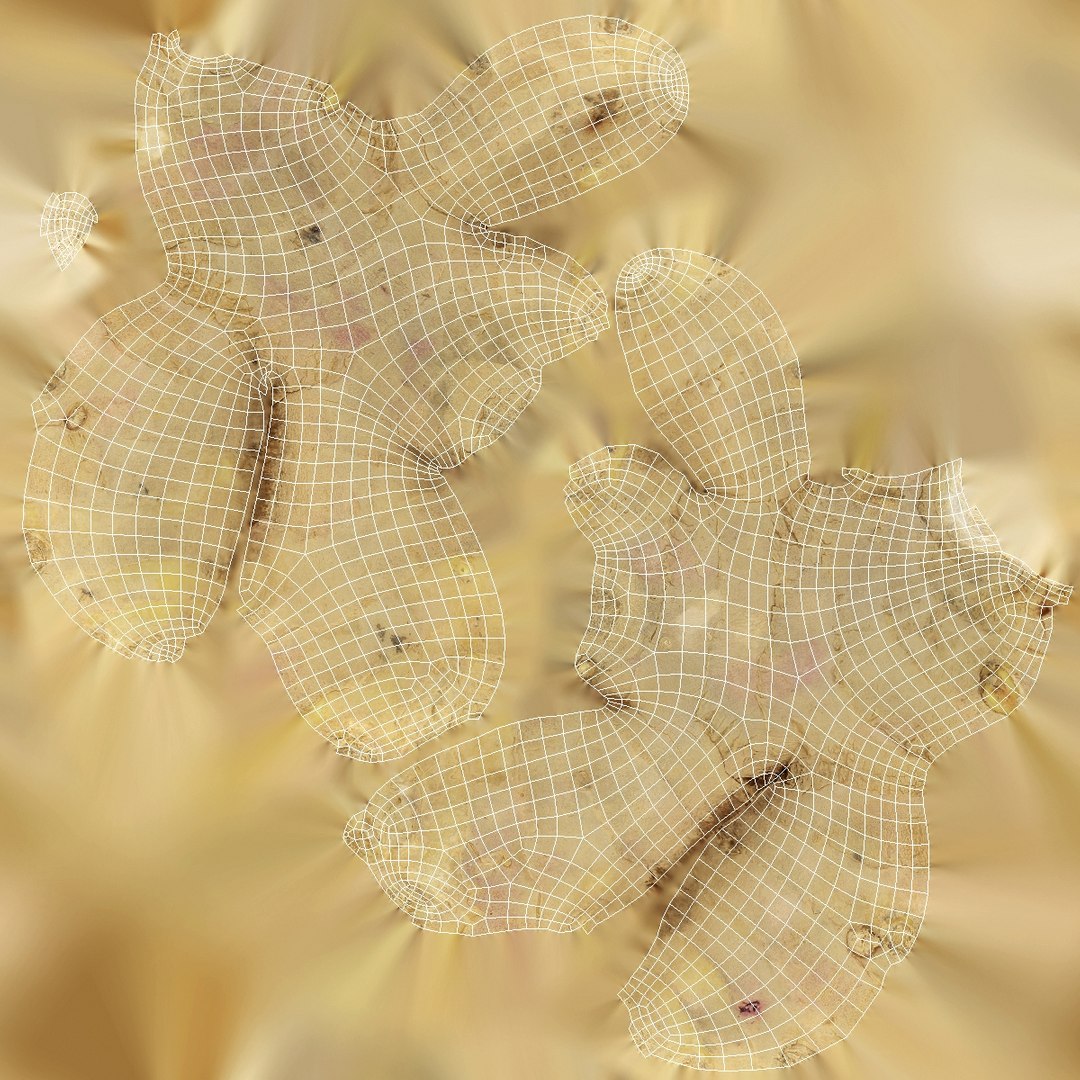 3D Ginger Subdivision Displacement - TurboSquid 1169782
