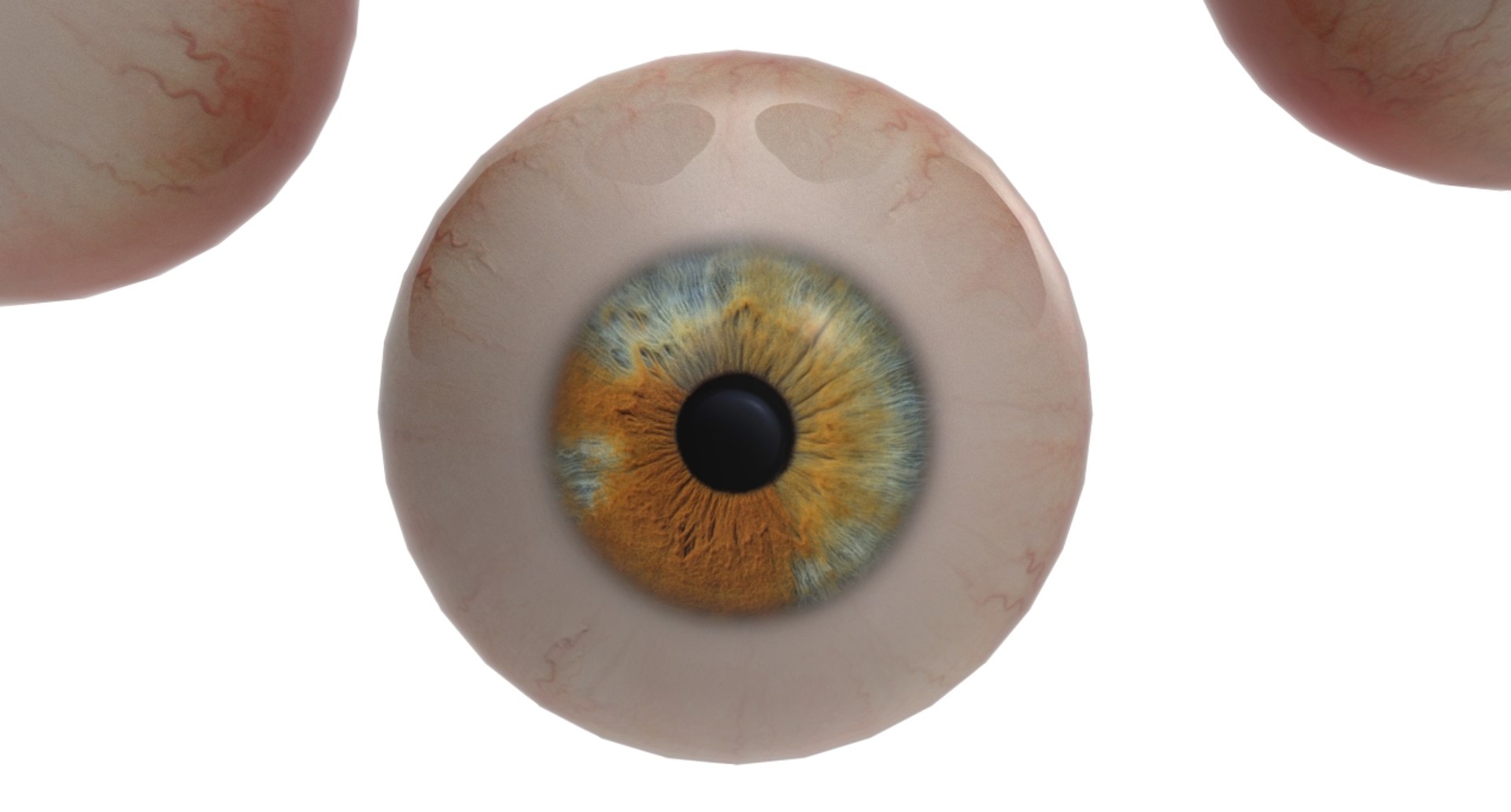 Eye ball 3D model - TurboSquid 1579827