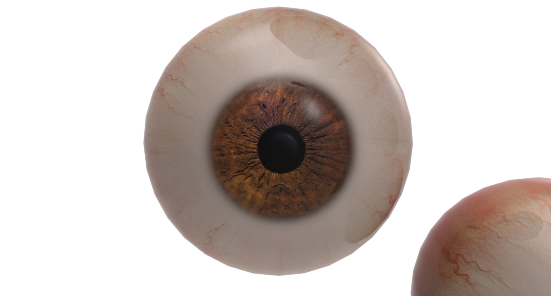 Eye ball 3D model - TurboSquid 1579827