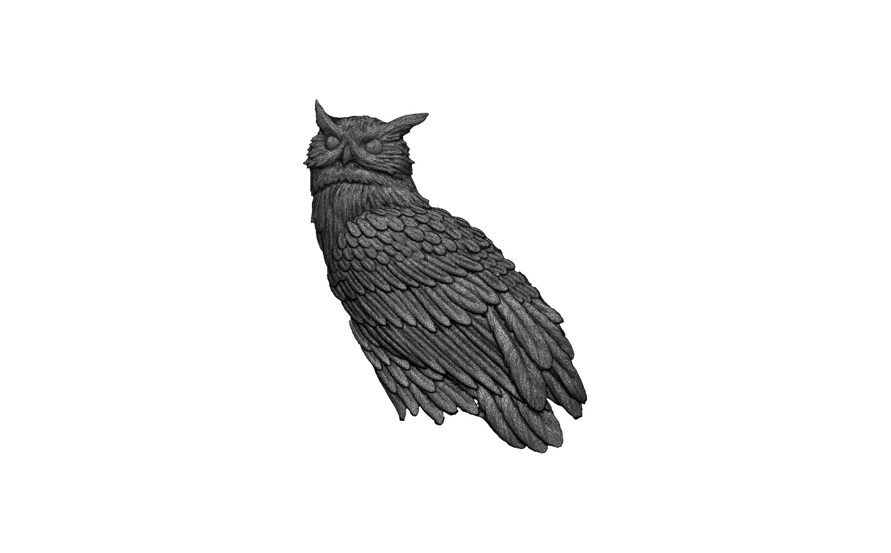 Owl Model - TurboSquid 2039427