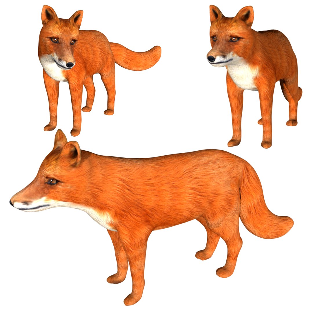 3D model Rigged low poly Fox - TurboSquid 1755007