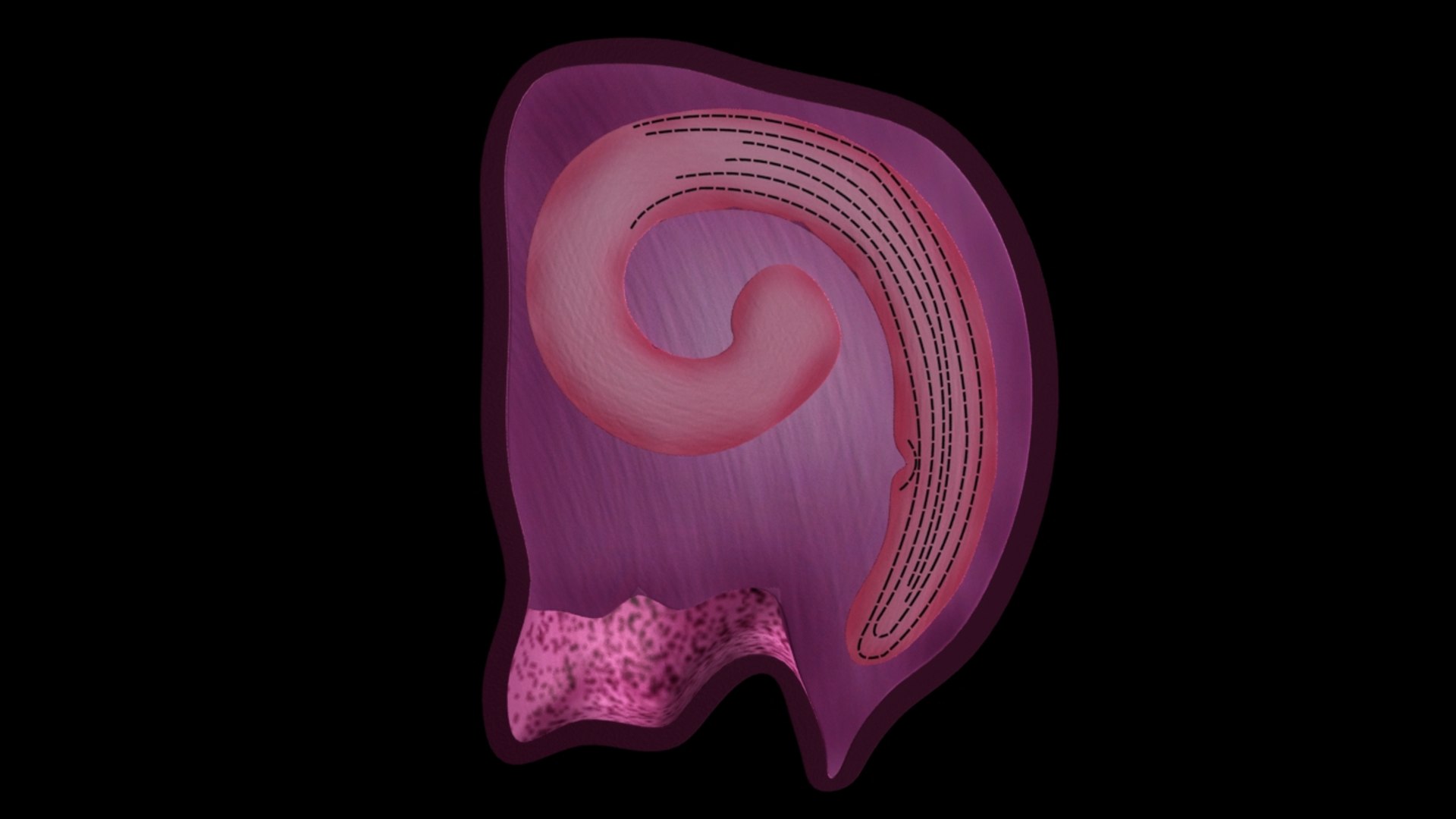 3d Seed Plant Food Model
