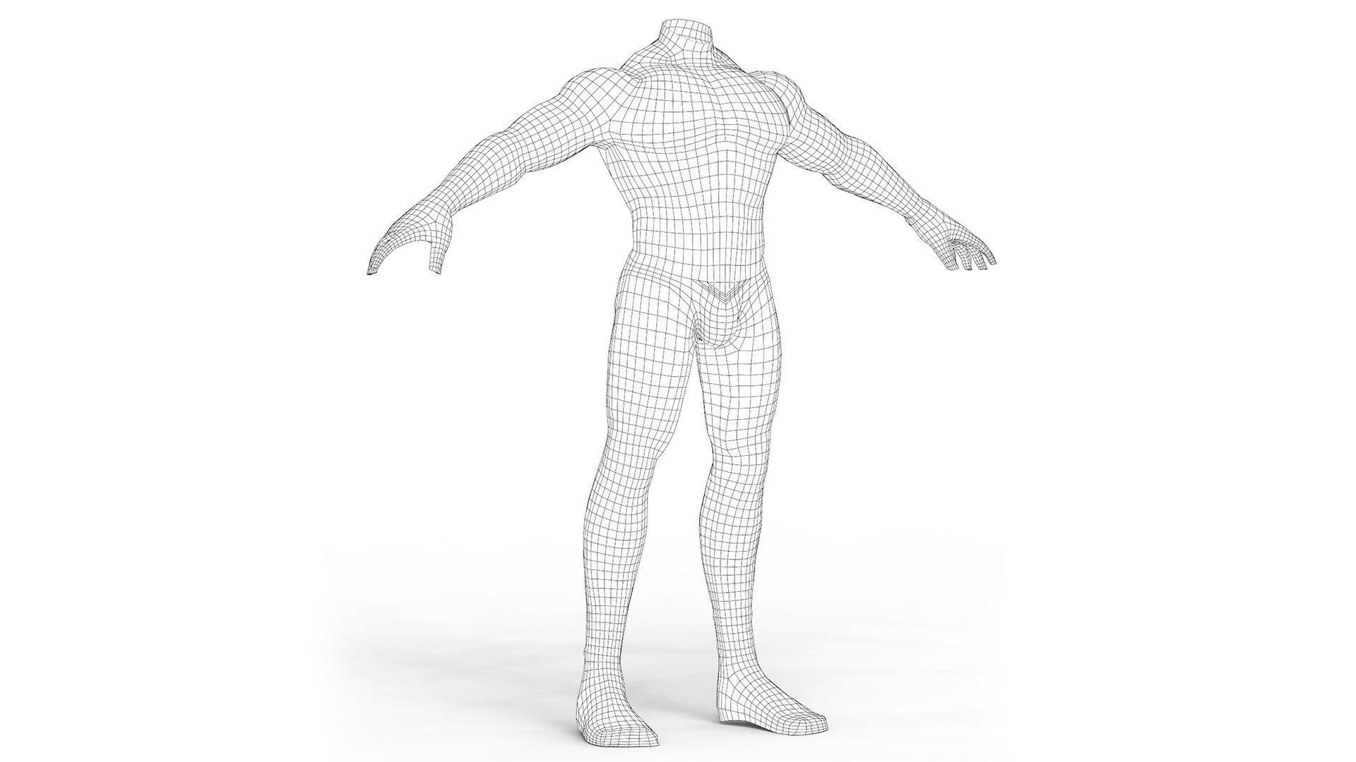 Low Poly Muscular Body Base Mesh 3D Model - TurboSquid 1988960