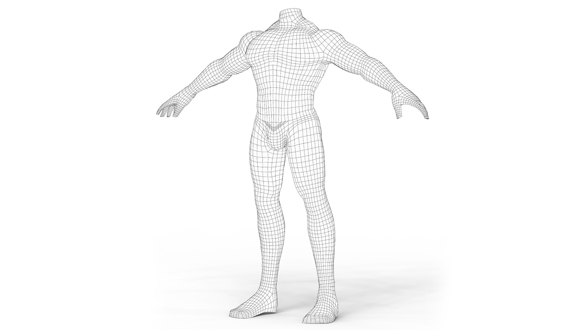 Low Poly Muscular Body Base Mesh 3D Model - TurboSquid 1988960