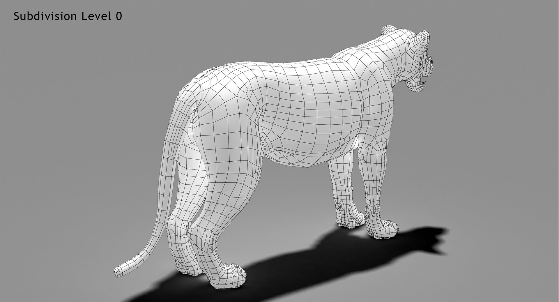 Lion 2 Fur White 3d Max