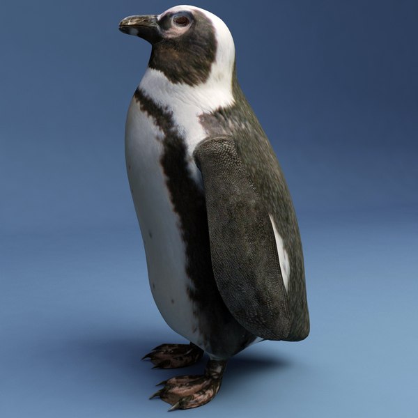 penguin modelled 3d model