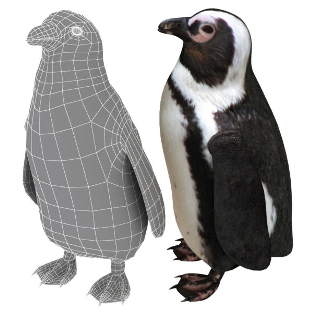 Penguin Modelled 3d Model