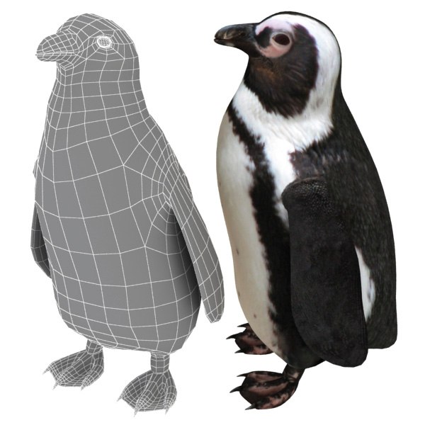 penguin modelled 3d model