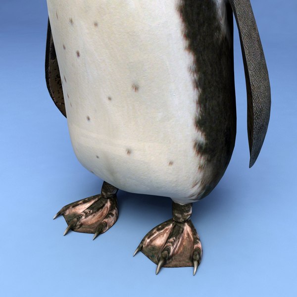 penguin modelled 3d model
