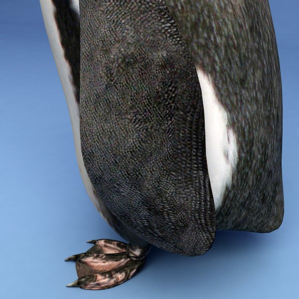 penguin modelled 3d model