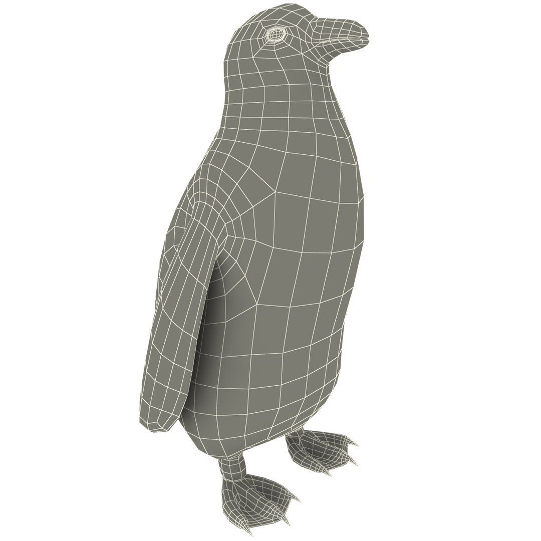 Penguin Modelled 3d Model