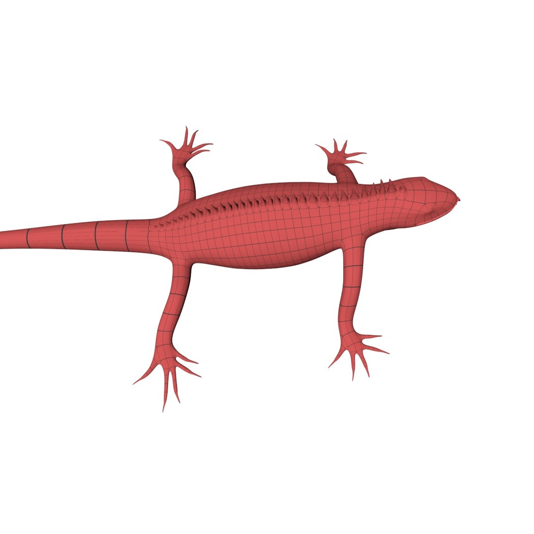 Base Mesh Iguana Lizard Obj