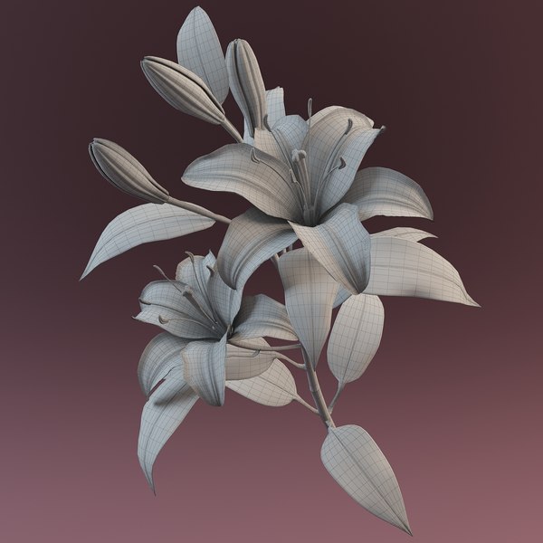 3d model of lily petal leaf