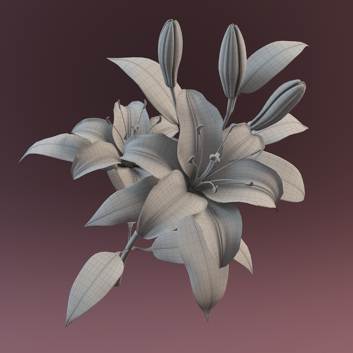 3d model of lily petal leaf
