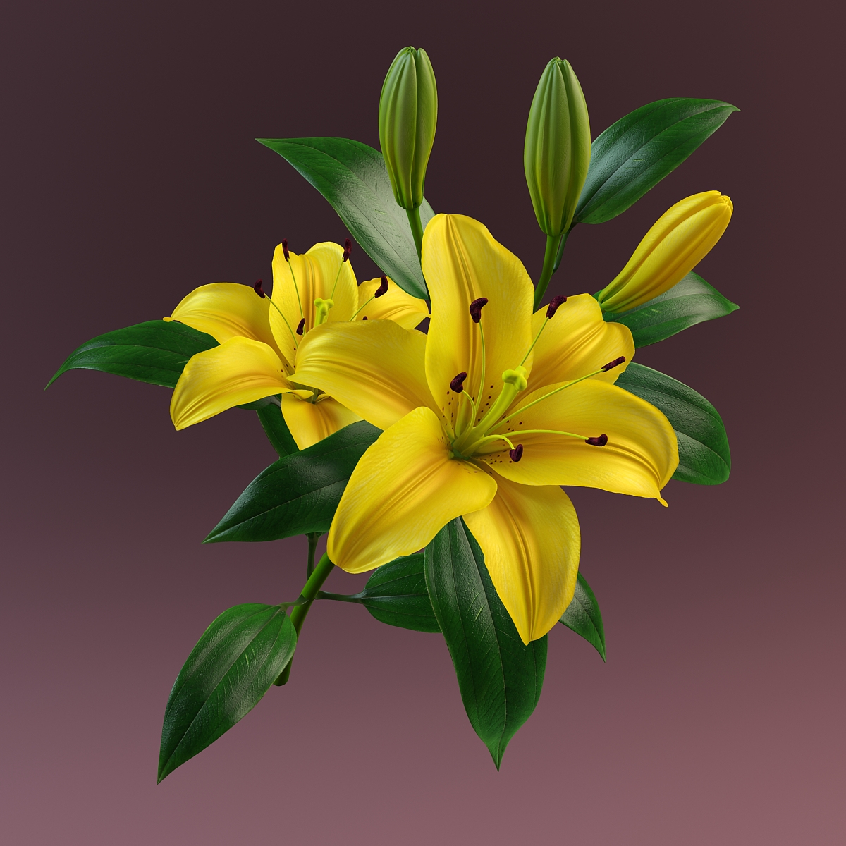 3d model of lily petal leaf