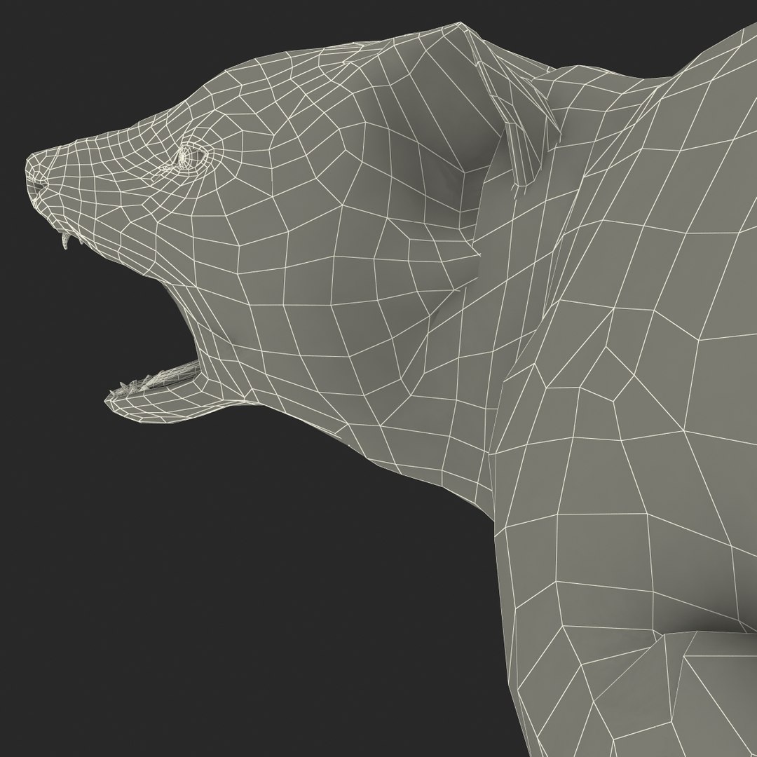 3d Model Tasmanian Devil Fur Pose