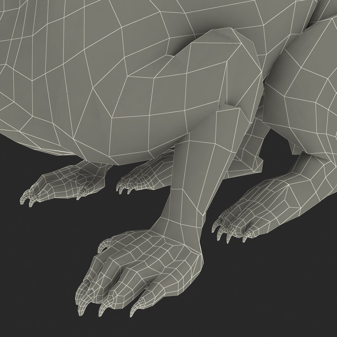3d Model Tasmanian Devil Fur Pose