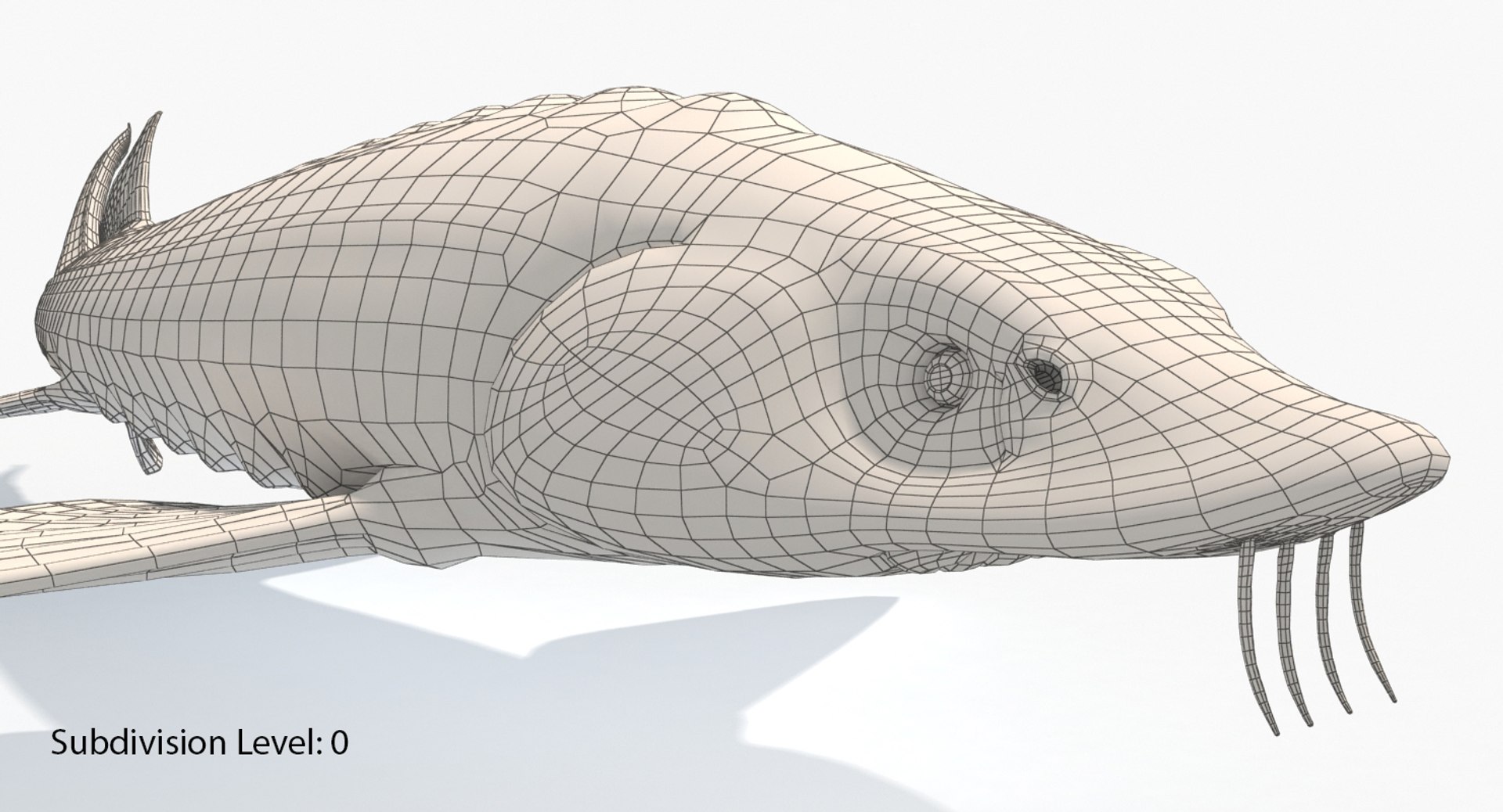 3D Sturgeon Fish Animation Model | 1145568 | TurboSquid