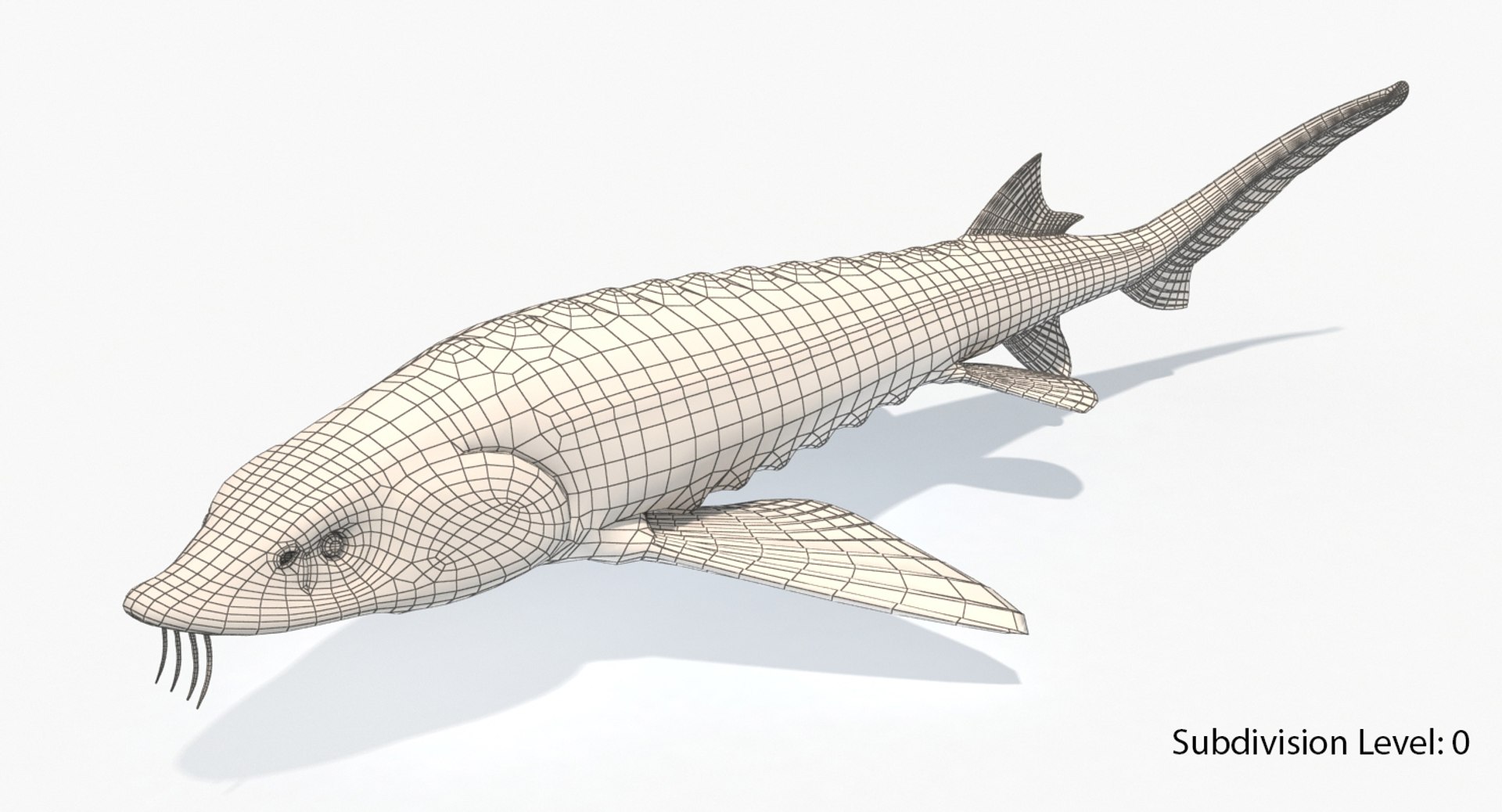 3D Sturgeon Fish Animation Model | 1145568 | TurboSquid