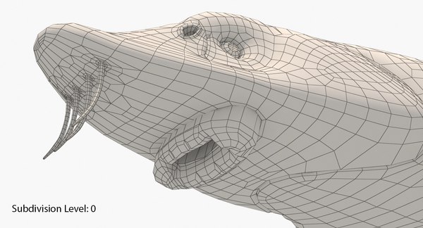 3D sturgeon fish animation model | 1145568 | TurboSquid