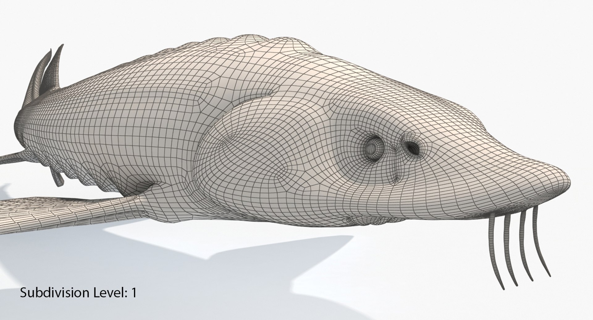 3D Sturgeon Fish Animation Model | 1145568 | TurboSquid