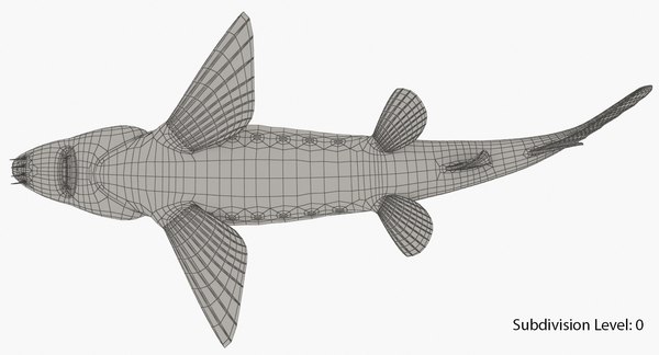 3D sturgeon fish animation model | 1145568 | TurboSquid