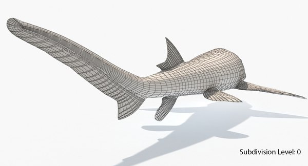 3D sturgeon fish animation model | 1145568 | TurboSquid