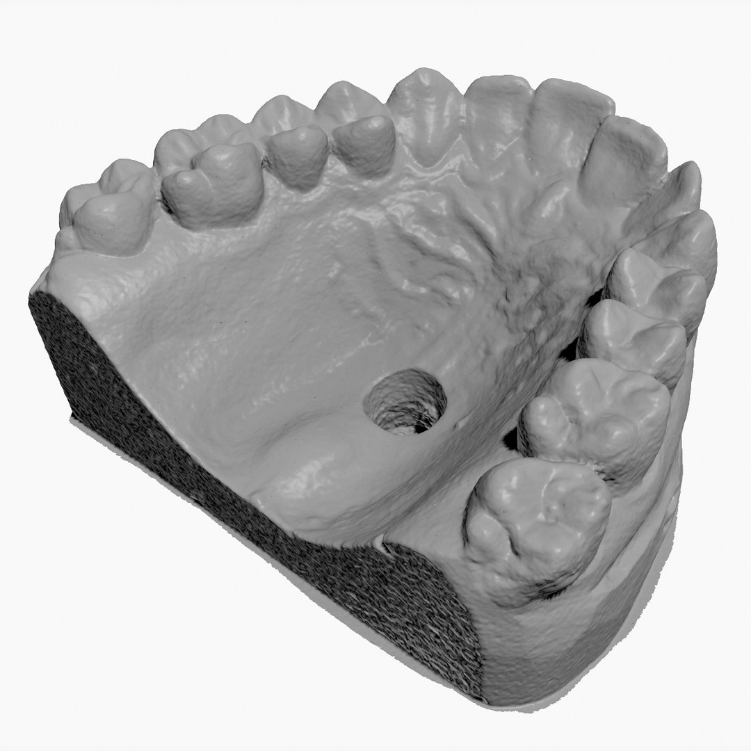 3d 3ds Female Scanned