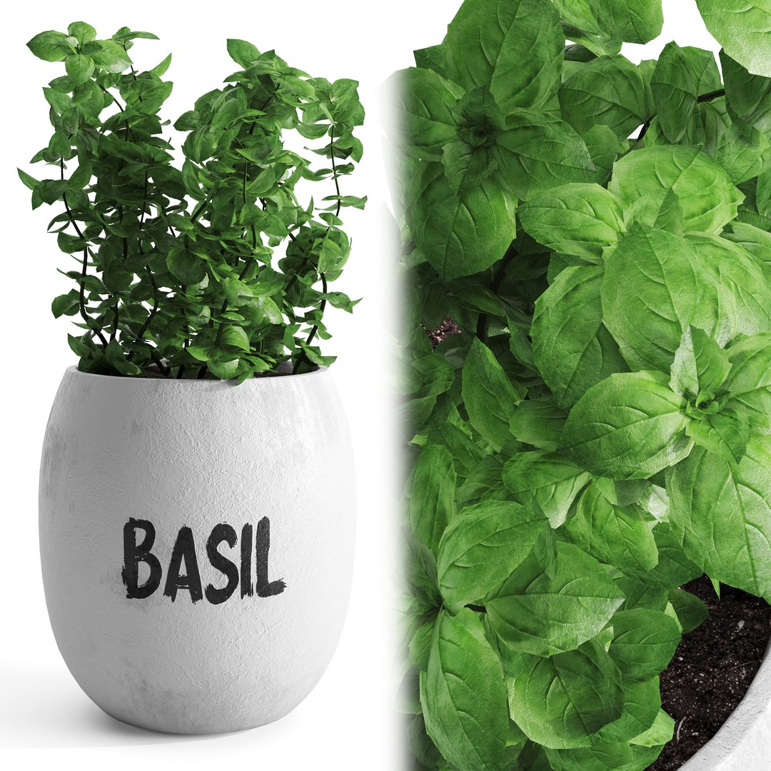 3D Greenery Plants Set - TurboSquid 1570402