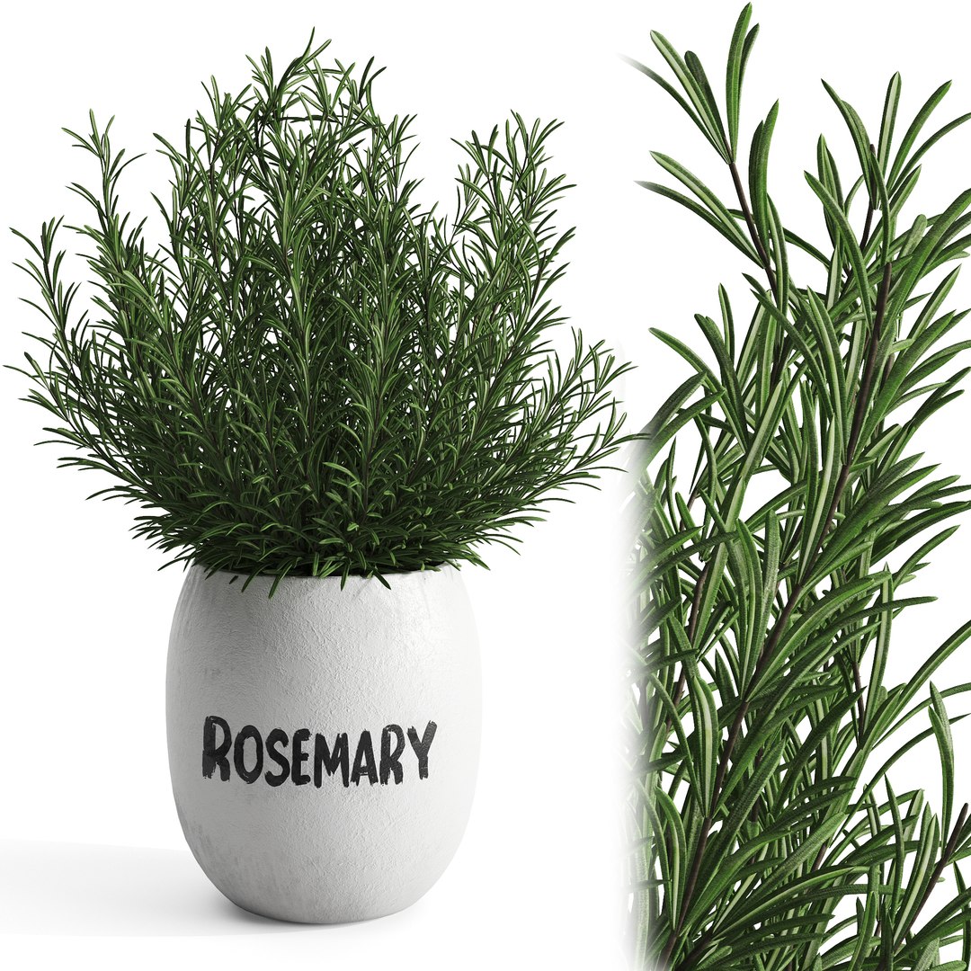 3D Greenery Plants Set - TurboSquid 1570402