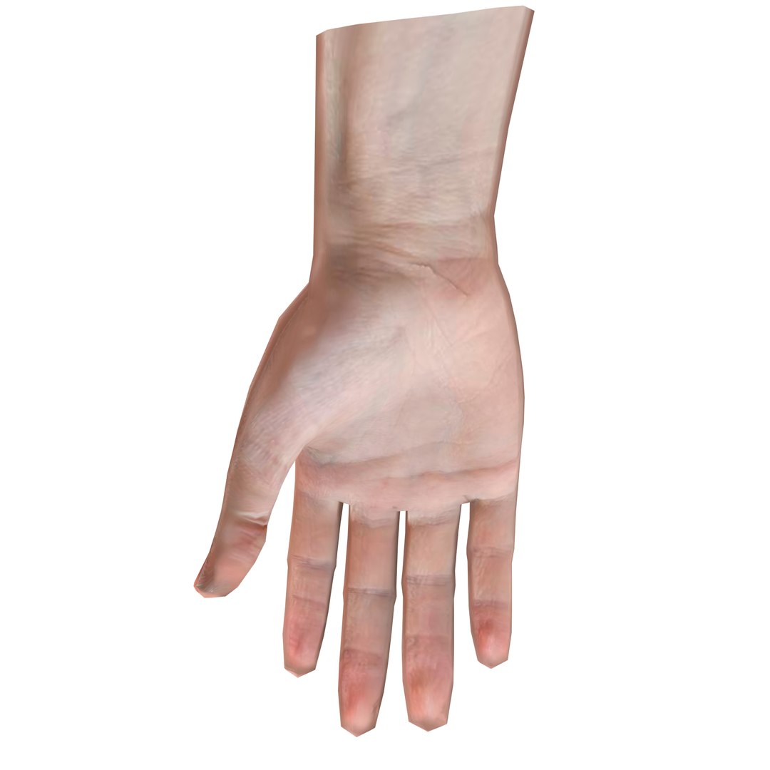 3d Hand Base Mesh Low-poly