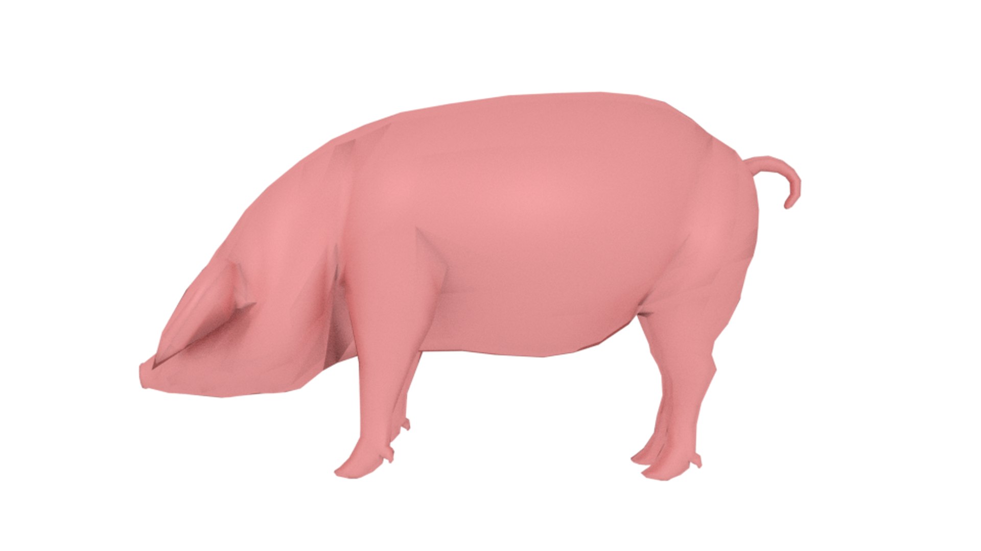Pig Model - TurboSquid 1373537