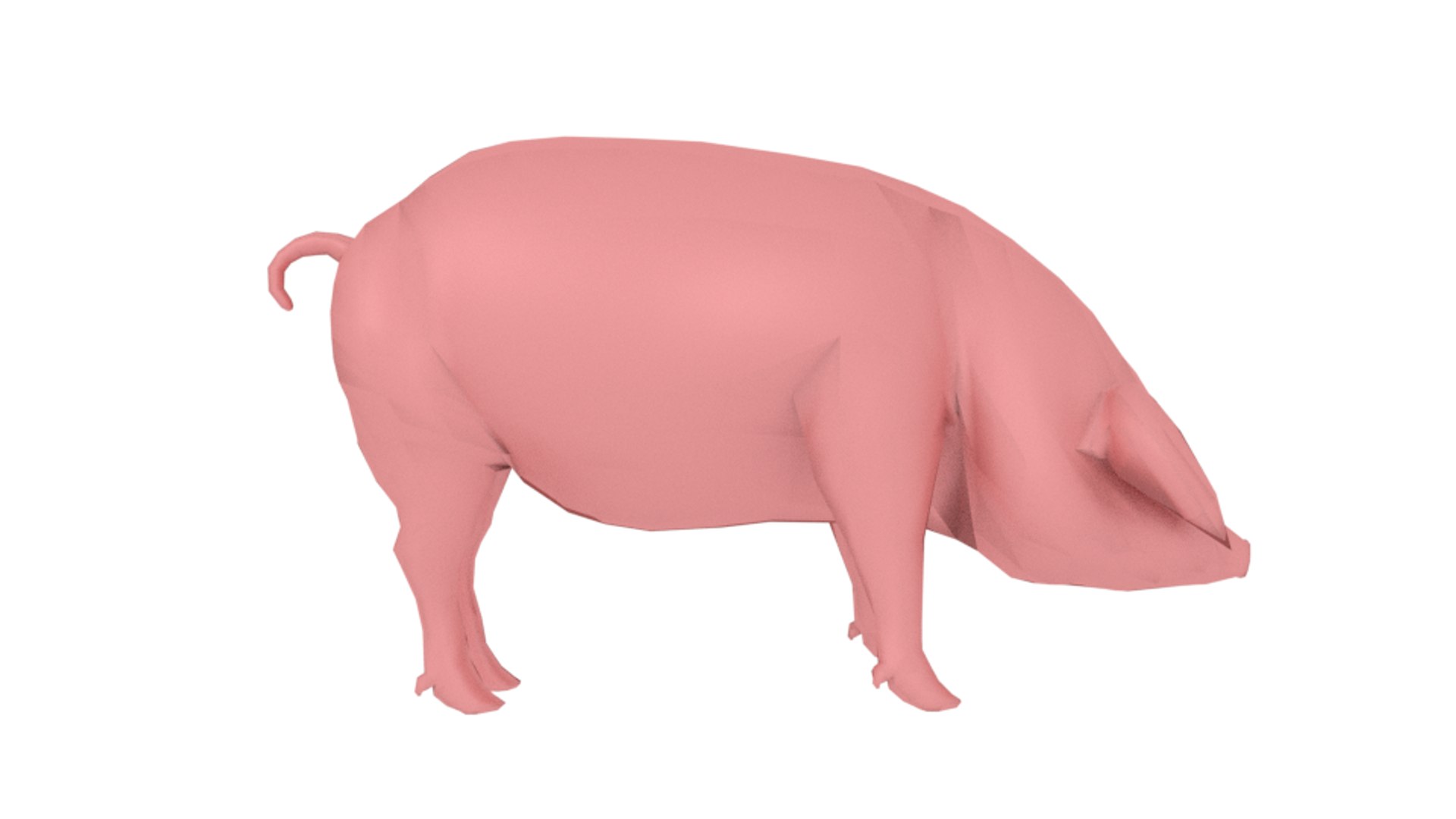 Pig Model - TurboSquid 1373537