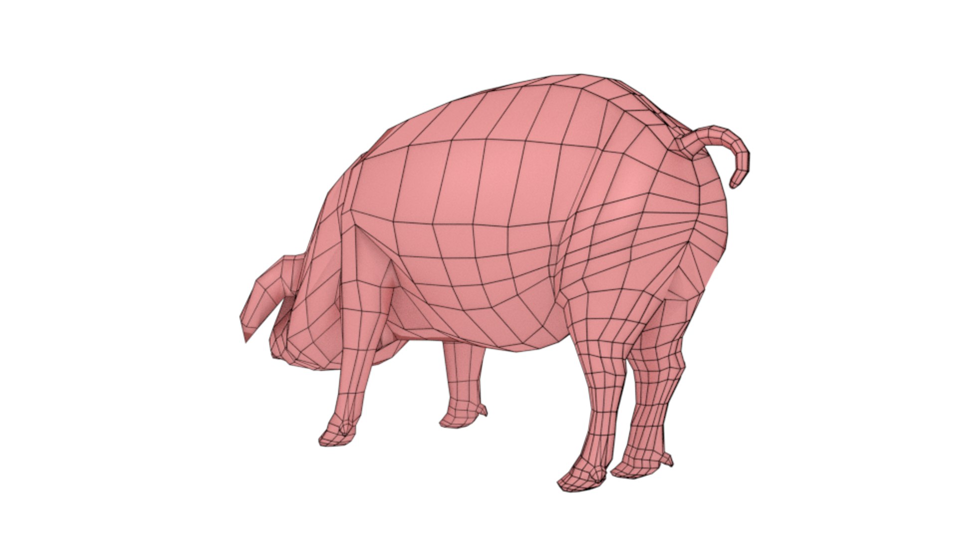Pig Model - TurboSquid 1373537