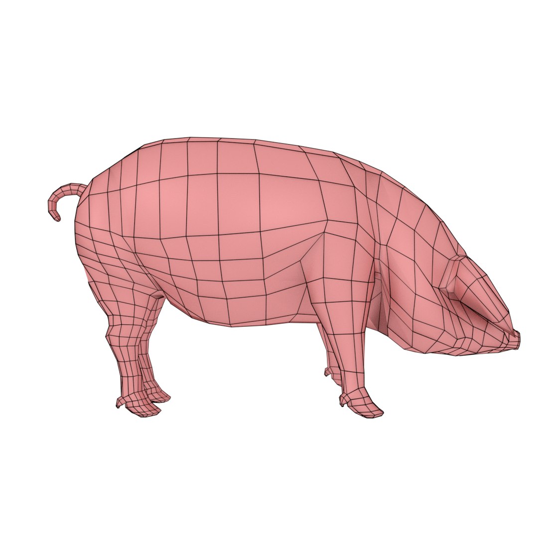 Pig Model - TurboSquid 1373537