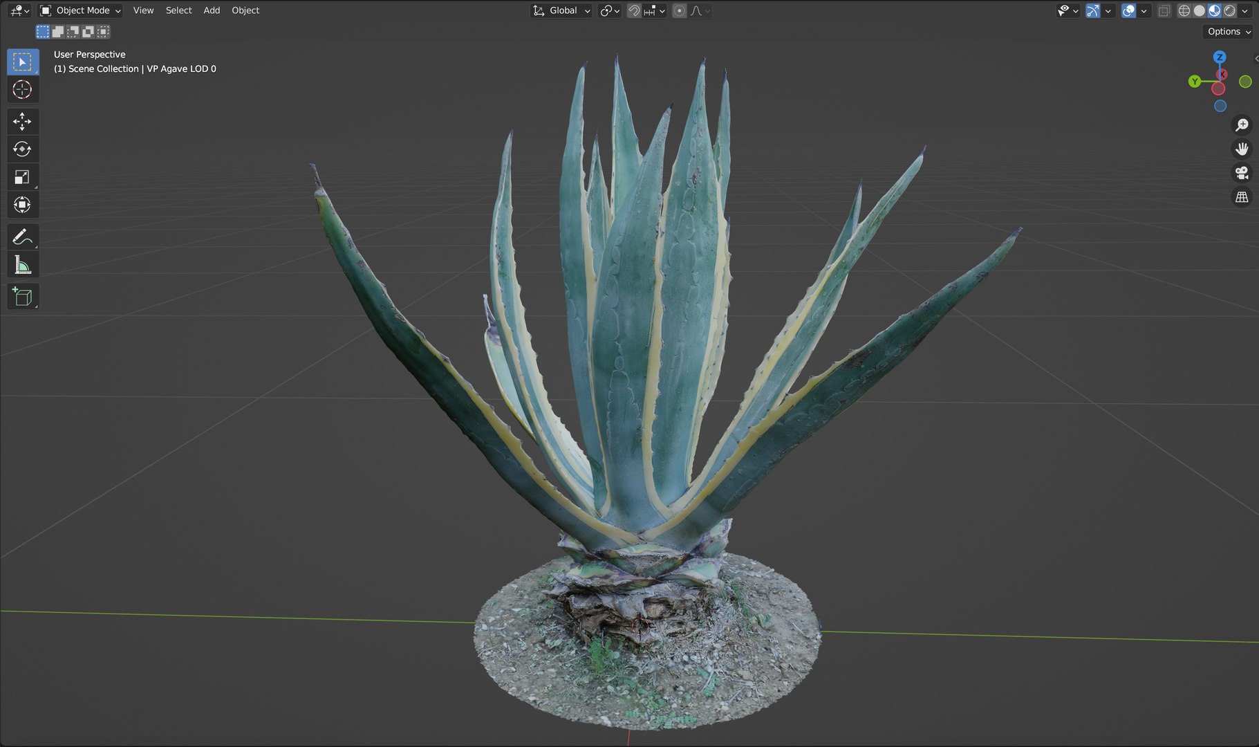 3D Agave Plant - TurboSquid 2129617