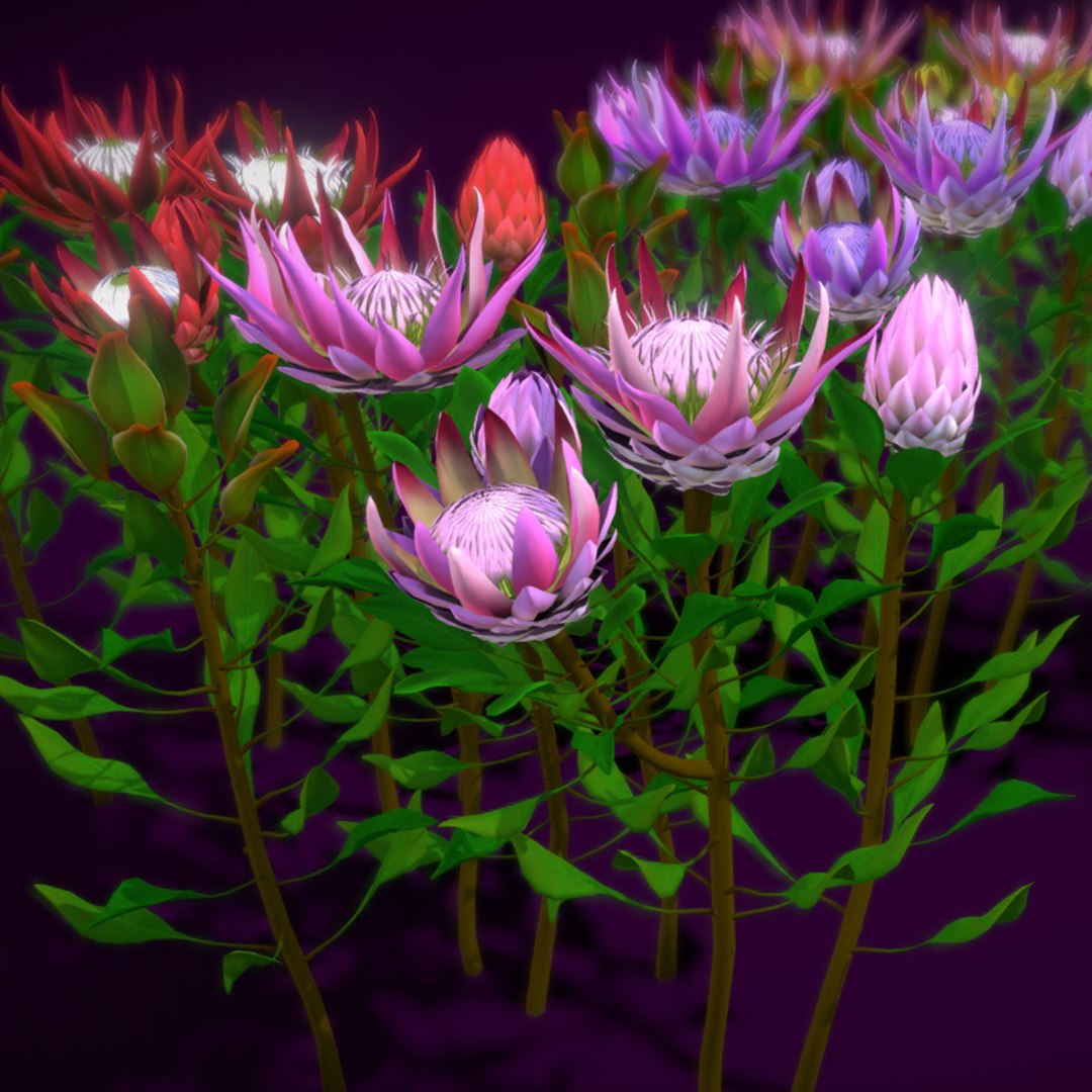 3D Flower Protea King Model - TurboSquid 2132560