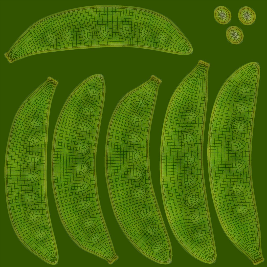 3D Snow Pea Model - TurboSquid 1652941