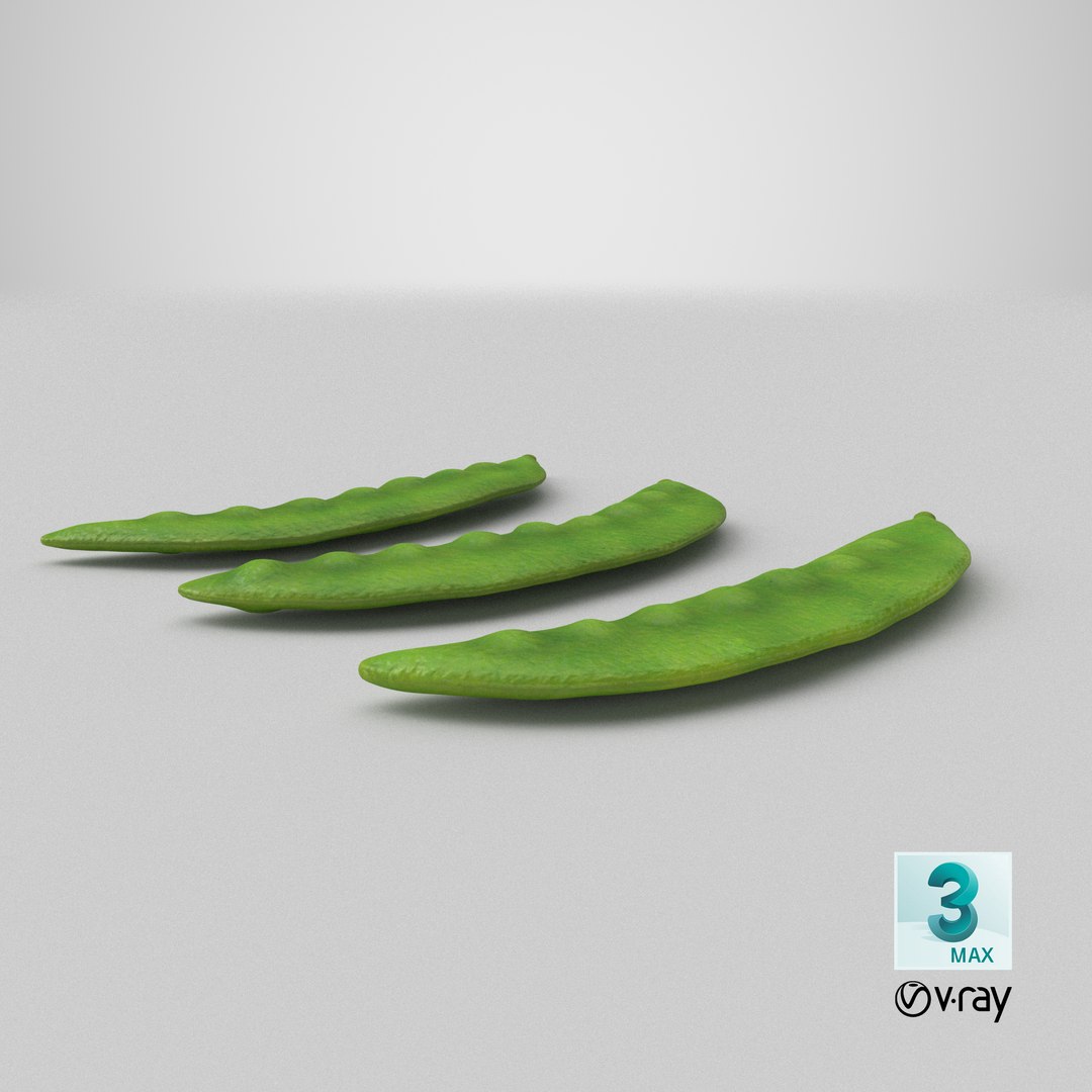 3D Snow Pea Model - TurboSquid 1652941