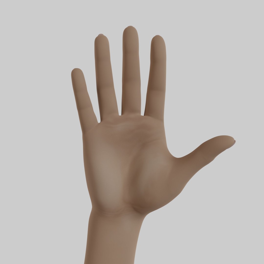 3D Sign Language Alphabet Hand Model - TurboSquid 1967976
