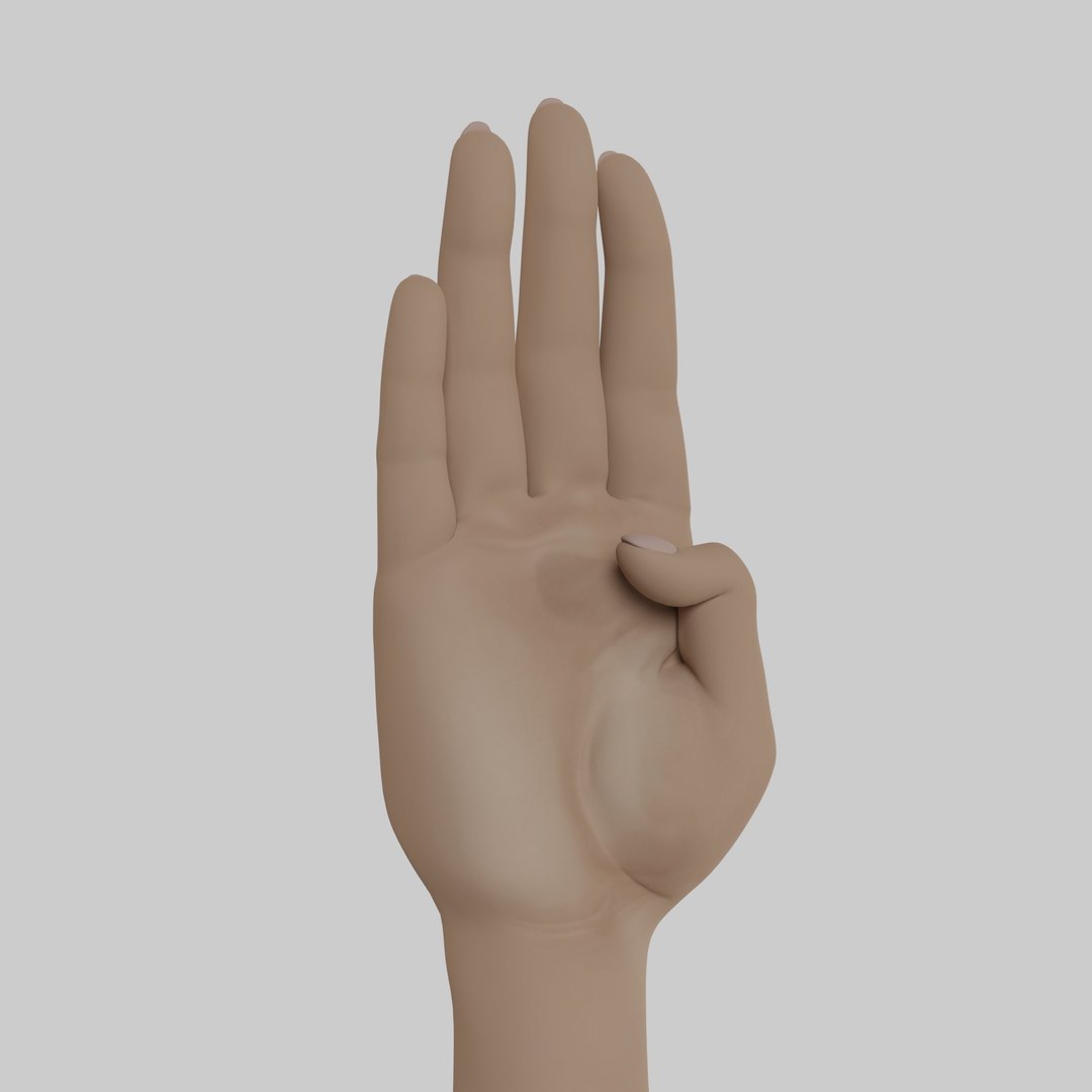 3D Sign Language Alphabet Hand Model - TurboSquid 1967976