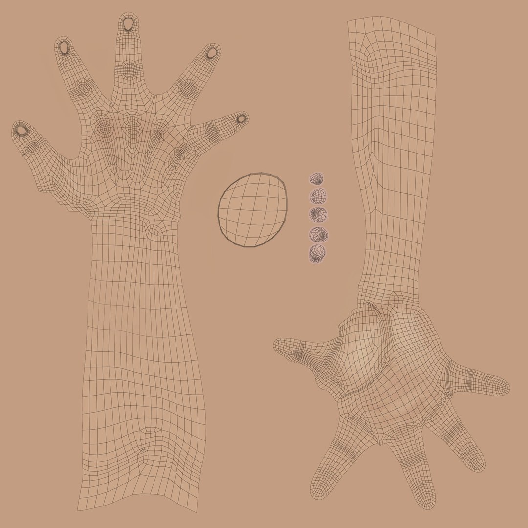 3D Sign Language Alphabet Hand Model - TurboSquid 1967976