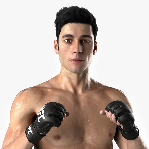 战斗机 UFC MMA 在战斗姿态汗流浃背的毛皮3D模型 - TurboSquid 2334103
