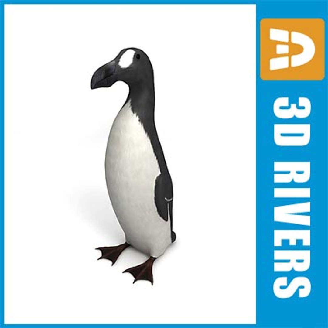 Great Auk Bird 3d Max