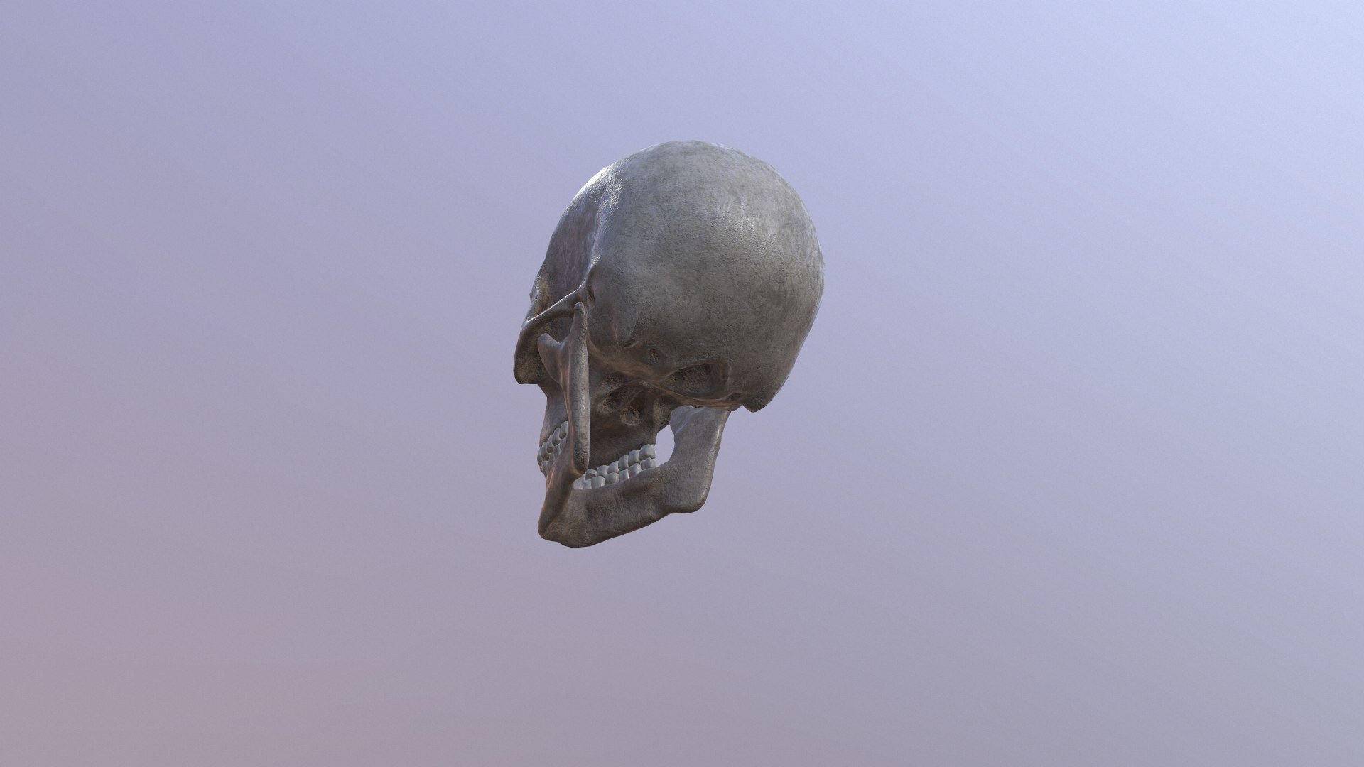 3D Human Skull Low Poly - TurboSquid 2054427