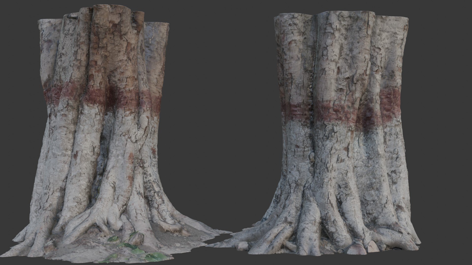3D Tree Trunk 3D Scan - TurboSquid 2395518