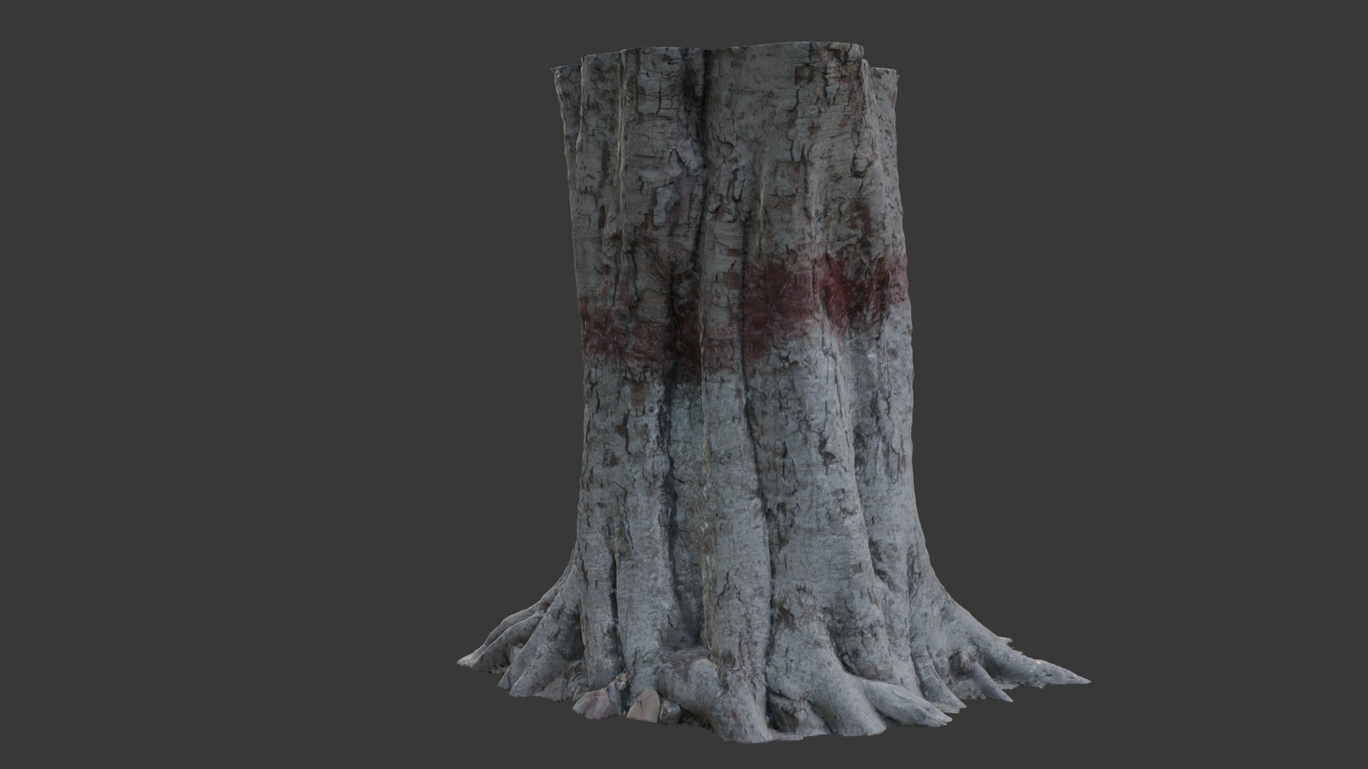 3D Tree Trunk 3D Scan - TurboSquid 2395518