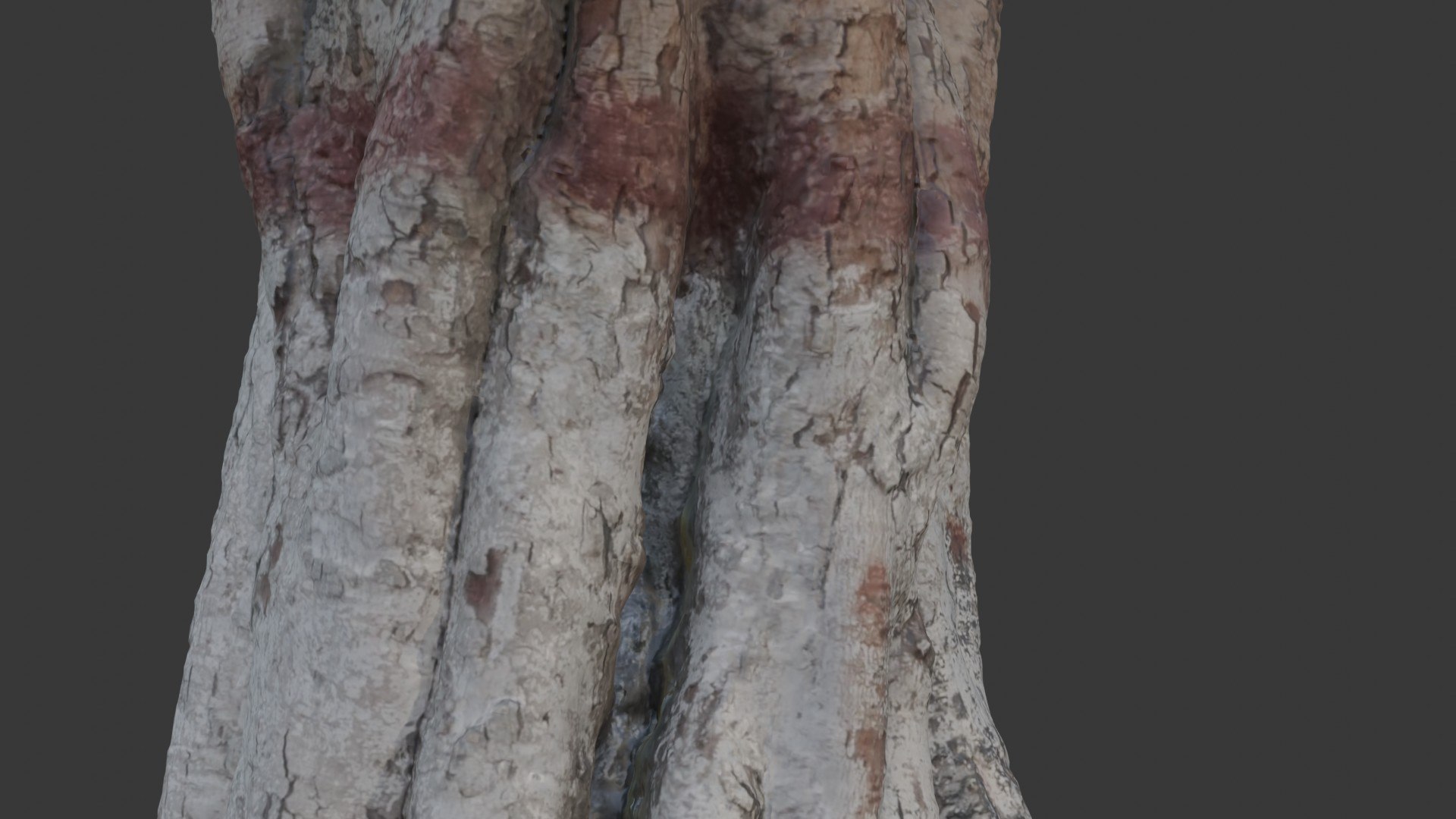 3D Tree Trunk 3D Scan - TurboSquid 2395518